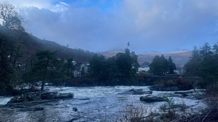 - Scottish Water